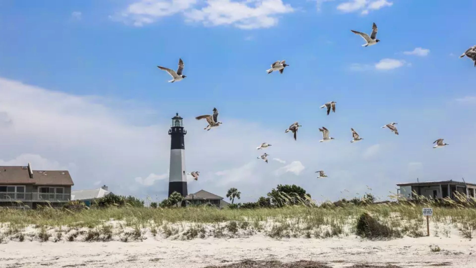 Savannah GA Beach Guide: Closest & Best Beaches - MakeSavannah