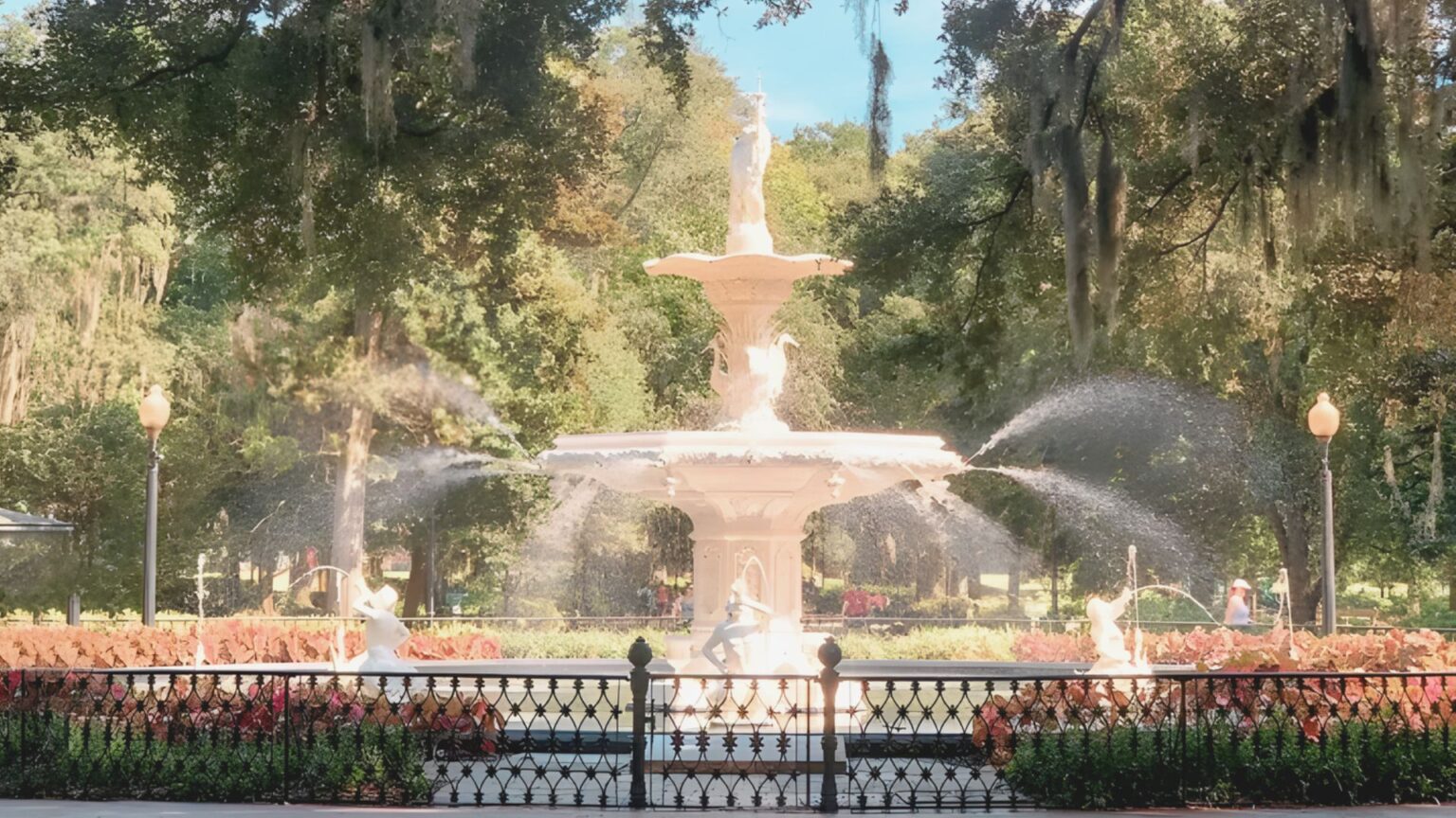 Trees in Savannah: Live Oaks, Moss & Native Flora - MakeSavannah