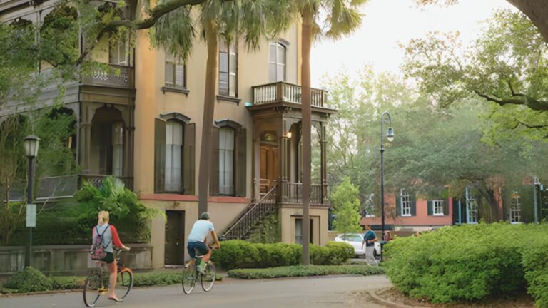 Trees in Savannah: Live Oaks, Moss & Native Flora - MakeSavannah