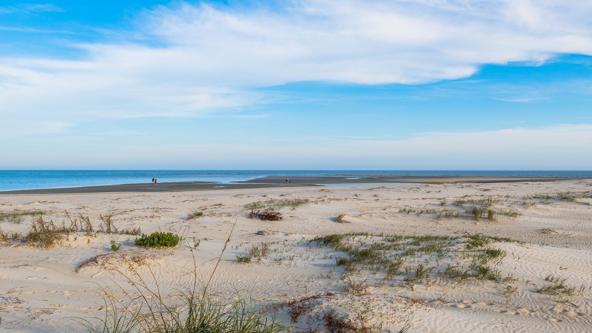 Savannah GA Beach Guide: Closest & Best Beaches - MakeSavannah