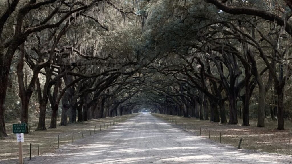 Is Savannah, Georgia Safe? 11 Ways to Stay Secure – MakeSavannah